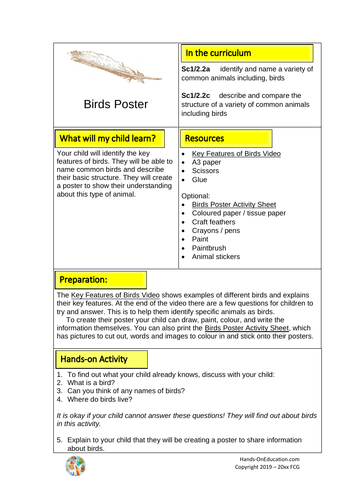 KS1 Birds Bundle | Hands-On Education | Teaching Resources