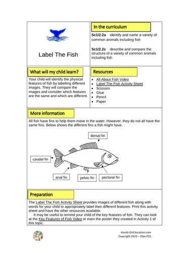 KS1 Fish Bundle | Hands-On Education | Teaching Resources