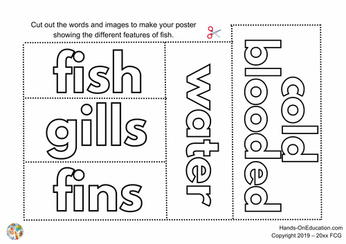 KS1 Fish Bundle | Hands-On Education | Teaching Resources