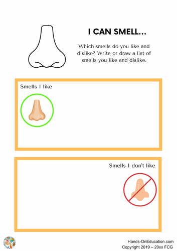 KS1 Five Senses Bundle | Hands-On Education | Teaching Resources