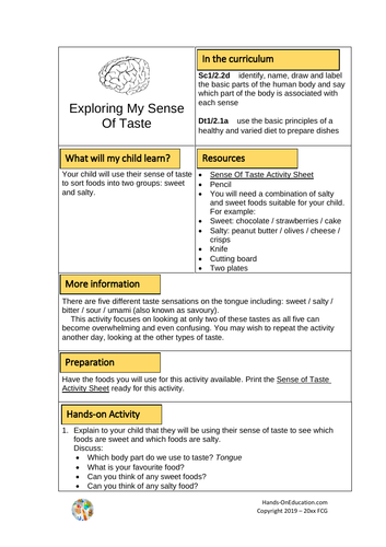 KS1 Five Senses Bundle | Hands-On Education | Teaching Resources