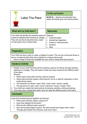 KS1 How Plants Grow Bundle | Hands-On Education | Teaching Resources