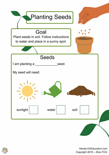 KS1 How Plants Grow Bundle | Hands-On Education | Teaching Resources