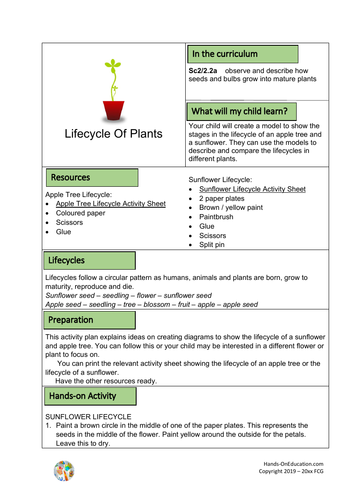 KS1 How Plants Grow Bundle | Hands-On Education | Teaching Resources