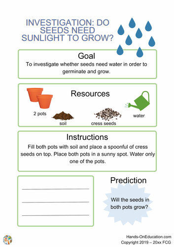 KS1 How Plants Grow Bundle | Hands-On Education | Teaching Resources