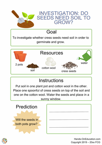 KS1 How Plants Grow Bundle | Hands-On Education | Teaching Resources