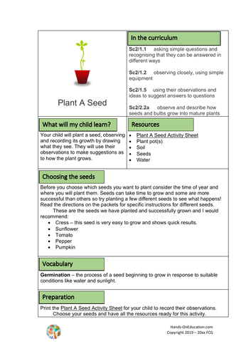 KS1 How Plants Grow Bundle | Hands-On Education | Teaching Resources