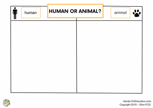 KS1 Human Body Bundle | Hands-On Education | Teaching Resources