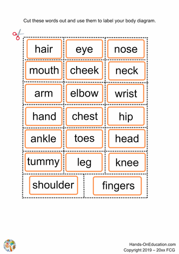 KS1 Human Body Bundle | Hands-On Education | Teaching Resources