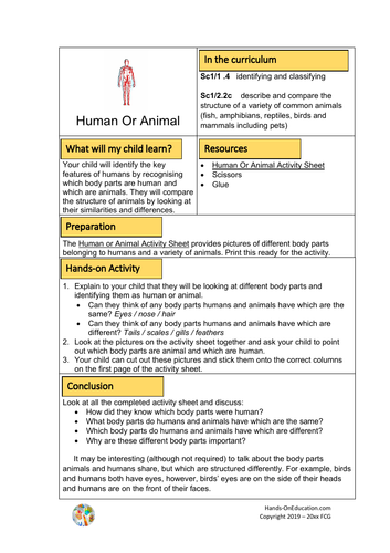 KS1 Human Body Bundle | Hands-On Education | Teaching Resources