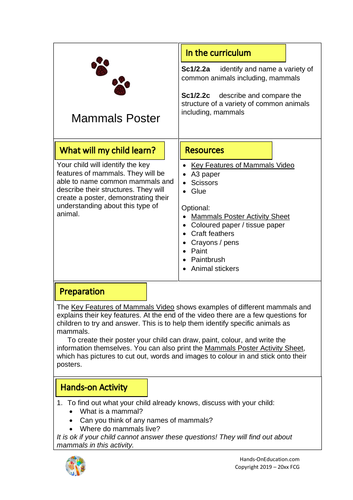 KS1 Mammals Bundle | Hands-On Education | Teaching Resources