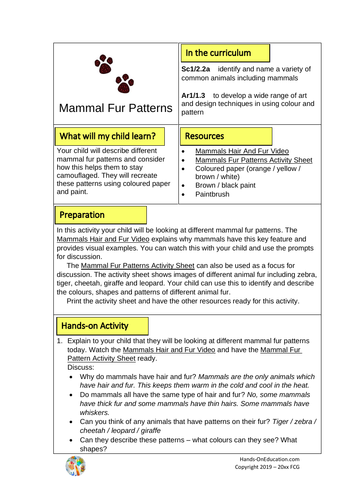 KS1 Mammals Bundle | Hands-On Education | Teaching Resources