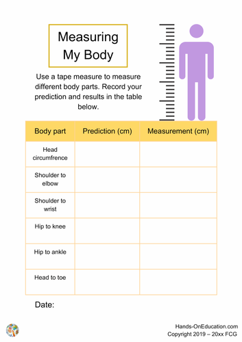KS1 My Healthy Body Bundle | Hands-On Education | Teaching Resources