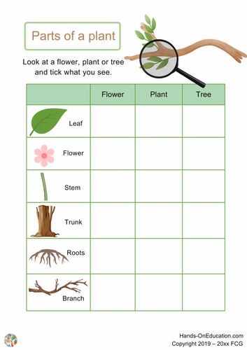 KS1 Plants Around Us Bundle | Hands-On Education | Teaching Resources