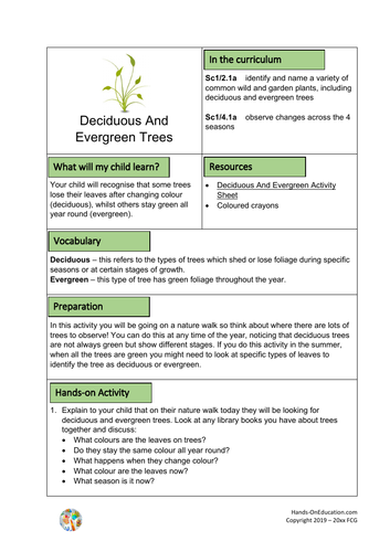 KS1 Plants Around Us Bundle | Hands-On Education | Teaching Resources