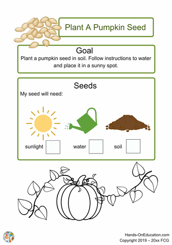 KS1 Pumpkins Bundle | Hands-On Education | Teaching Resources