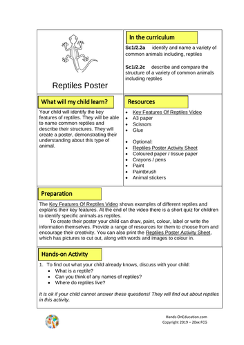 KS1 Reptiles Bundle | Hands-On Education | Teaching Resources