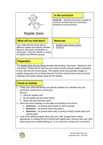 KS1 Reptiles Bundle | Hands-On Education | Teaching Resources