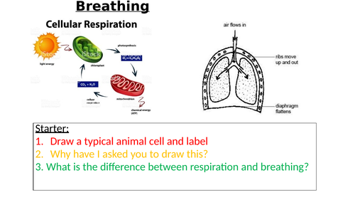 Lesson 1: Respiration & Breathing (WJEC 1.2 - Respiration & The ...