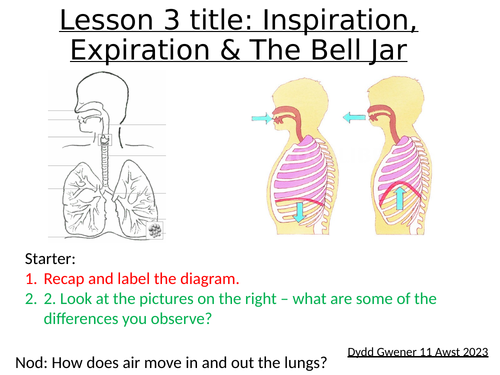 Lesson 3: Inspiration & Expiration (WJEC 1.2 - Respiration & The ...