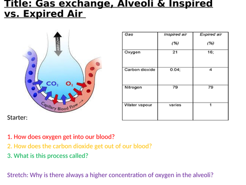 Lesson 5: Gas Exchange, Alveoli & Air (WJEC 1.2 - Respiration & The ...