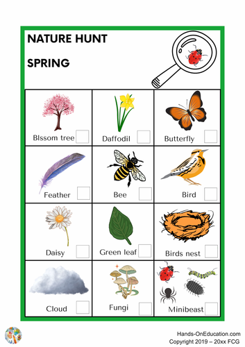 Free KS1 Seasons Bundle | Hands-On Education | Teaching Resources