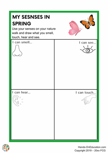 Free KS1 Seasons Bundle | Hands-On Education | Teaching Resources