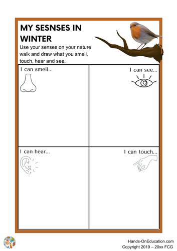 Free KS1 Seasons Bundle | Hands-On Education | Teaching Resources