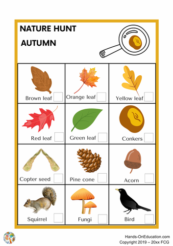 Free KS1 Seasons Bundle | Hands-On Education | Teaching Resources