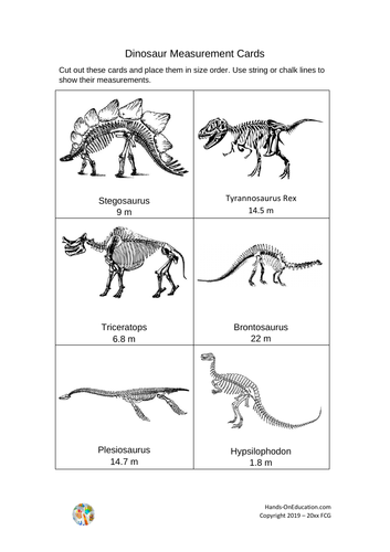 Ks2 Fossils Bundle Hands On Education Teaching Resources