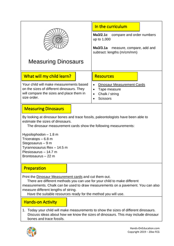 KS2 Fossils Bundle | Hands-On Education | Teaching Resources