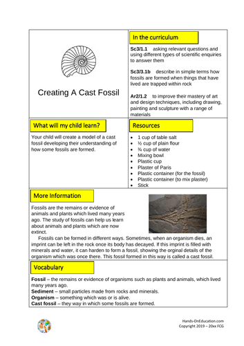 Ks2 Fossils Bundle Hands On Education Teaching Resources