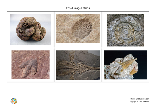 Ks2 Fossils Bundle Hands On Education Teaching Resources