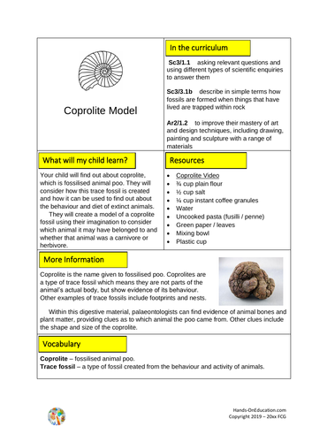 Ks2 Fossils Bundle Hands On Education Teaching Resources