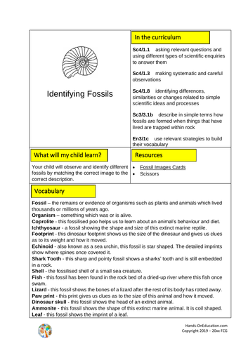 Ks2 Fossils Bundle Hands On Education Teaching Resources