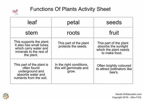 KS2 Investigating Plant Conditions Bundle | Hands-On Education ...