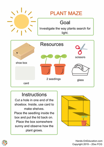 KS2 Investigating Plant Conditions Bundle | Hands-On Education ...