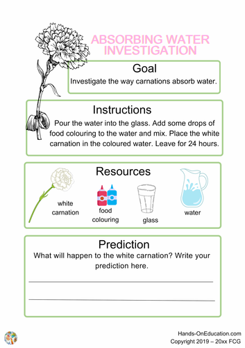 KS2 Investigating Plant Conditions Bundle | Hands-On Education ...