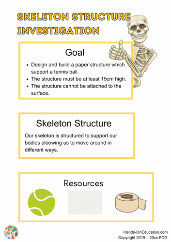 KS2 My Skeleton Bundle | Hands-On Education | Teaching Resources
