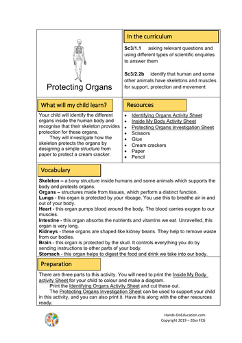 KS2 My Skeleton Bundle | Hands-On Education | Teaching Resources
