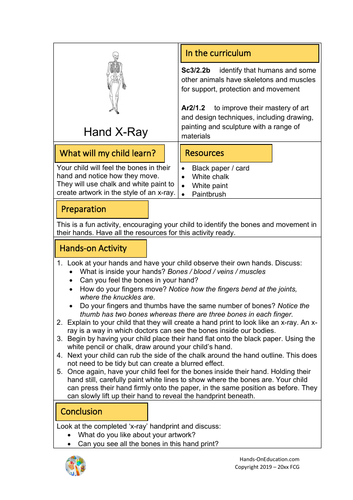 KS2 My Skeleton Bundle | Hands-On Education | Teaching Resources
