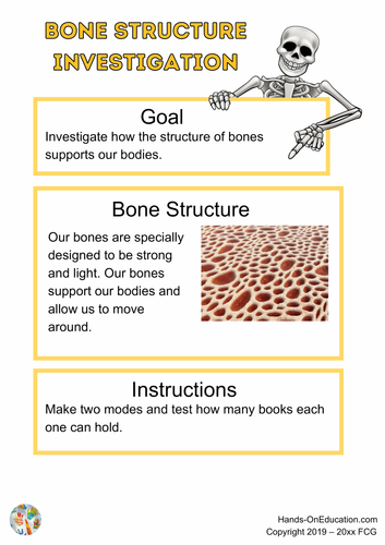 KS2 My Skeleton Bundle | Hands-On Education | Teaching Resources