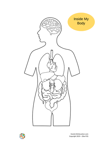 KS2 My Skeleton Bundle | Hands-On Education | Teaching Resources