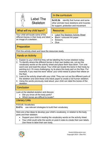 KS2 My Skeleton Bundle | Hands-On Education | Teaching Resources