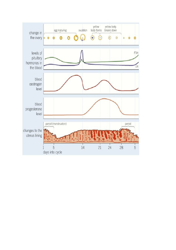 Homeostasis & Response - 4.5 (AQA GCSE 1-9 Biology: Complete Topic ...