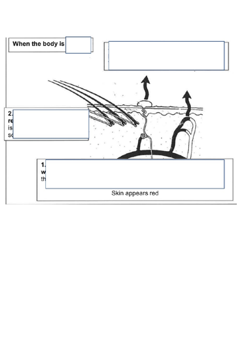 Homeostasis & Response - 4.5 (AQA GCSE 1-9 Biology: Complete Topic ...