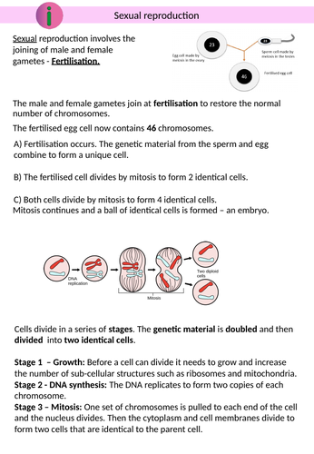KS3 Reproduction Topic | Teaching Resources