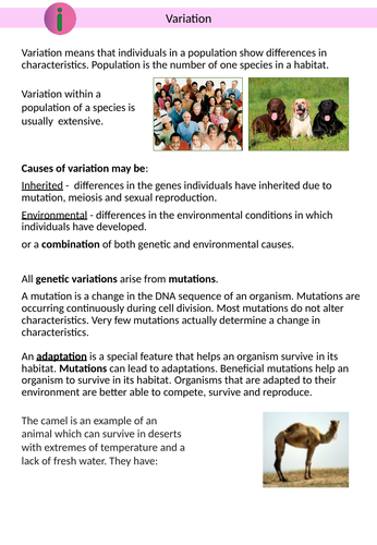 KS3 Reproduction Topic | Teaching Resources