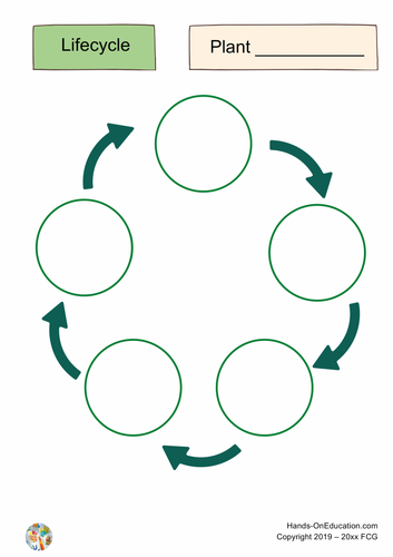 KS2 Seeds and Life Cycles Bundle | Hands-On Education | Teaching Resources