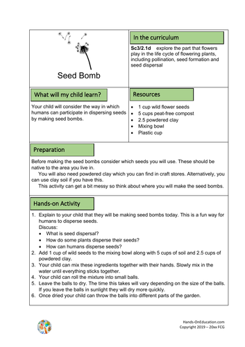 KS2 Seeds and Life Cycles Bundle | Hands-On Education | Teaching Resources